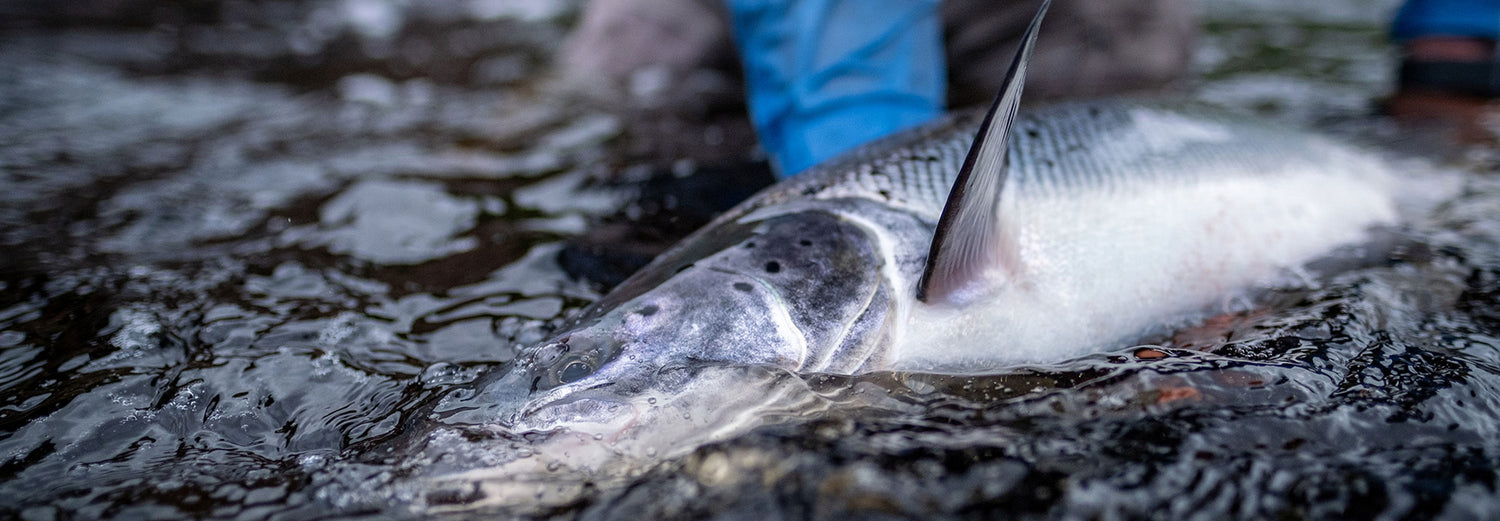 Pinware River - Zefix Flyfishing